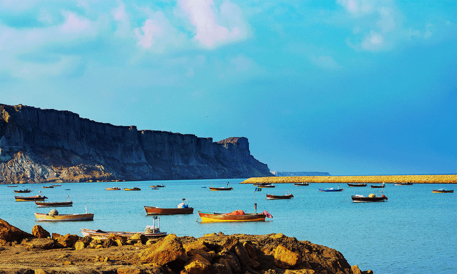 Aqua Pearl | Pioneer in Exporting Frozen Seafood Industry | Pakistan